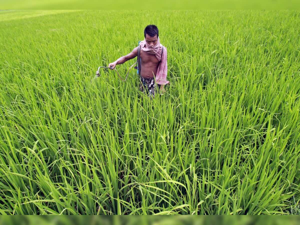 One Nation One Fertilizer scheme: What it is and how it will help ...