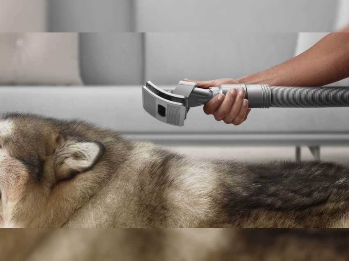 Dyson pet grooming kit available at Rs 9,900 in India - What it is, how ...
