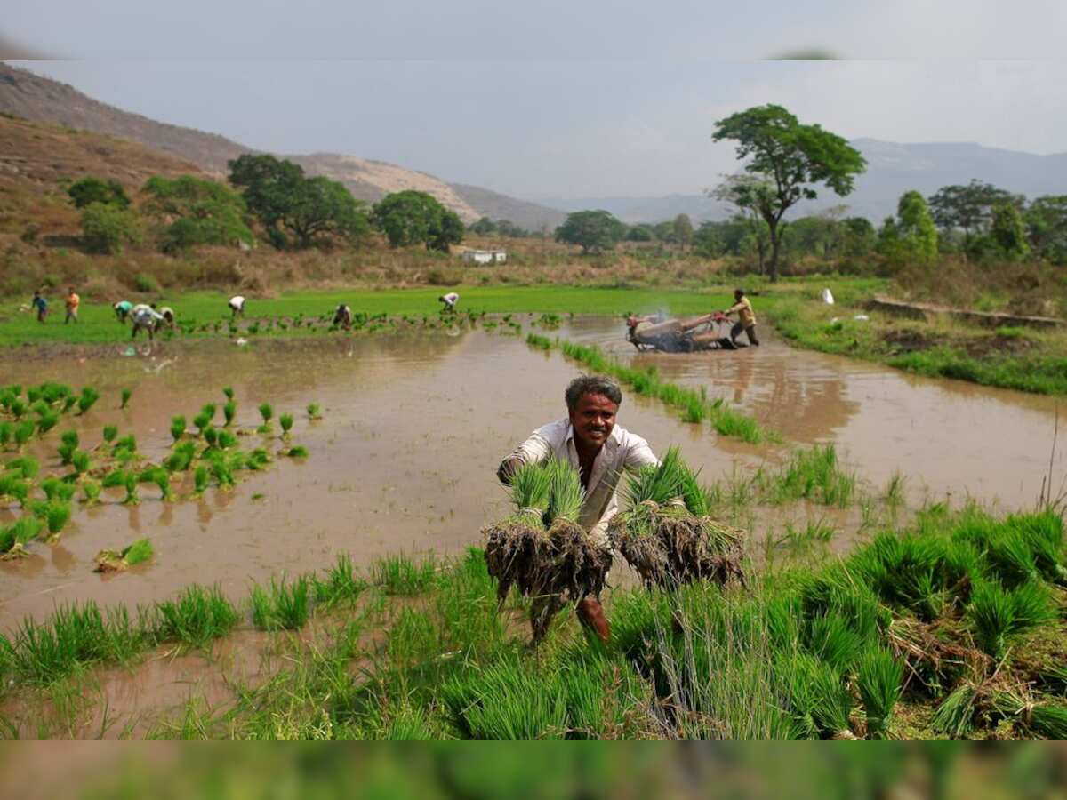 Why rural demand recovery is delayed and when can it be seen ...