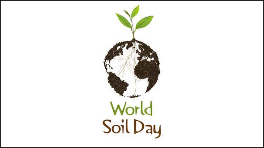 soil Latest News- Top News on soil, Update on soil, soil News Today ...