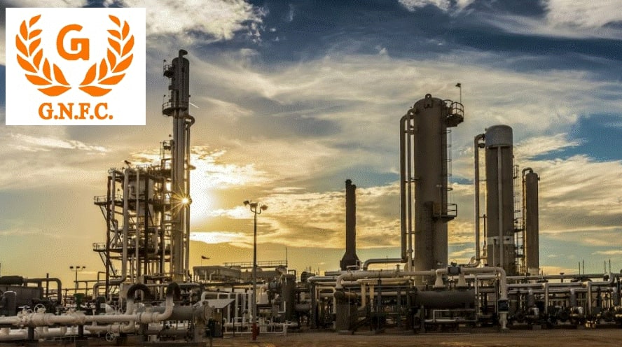 Why Did FII Increased Their Stake In GNFC? Know The Triggers In This ...