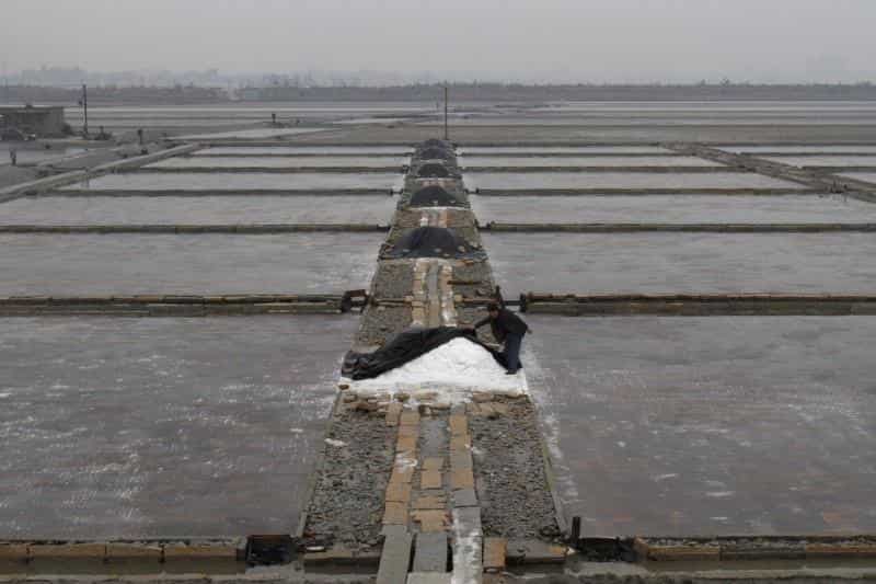 Govt working on policy for auction of salt land to private players ...