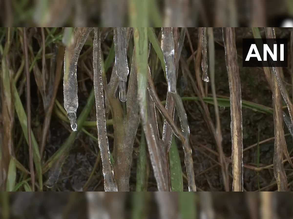 Delhi temperature, weather today forecast: Cold wave sweeps national ...