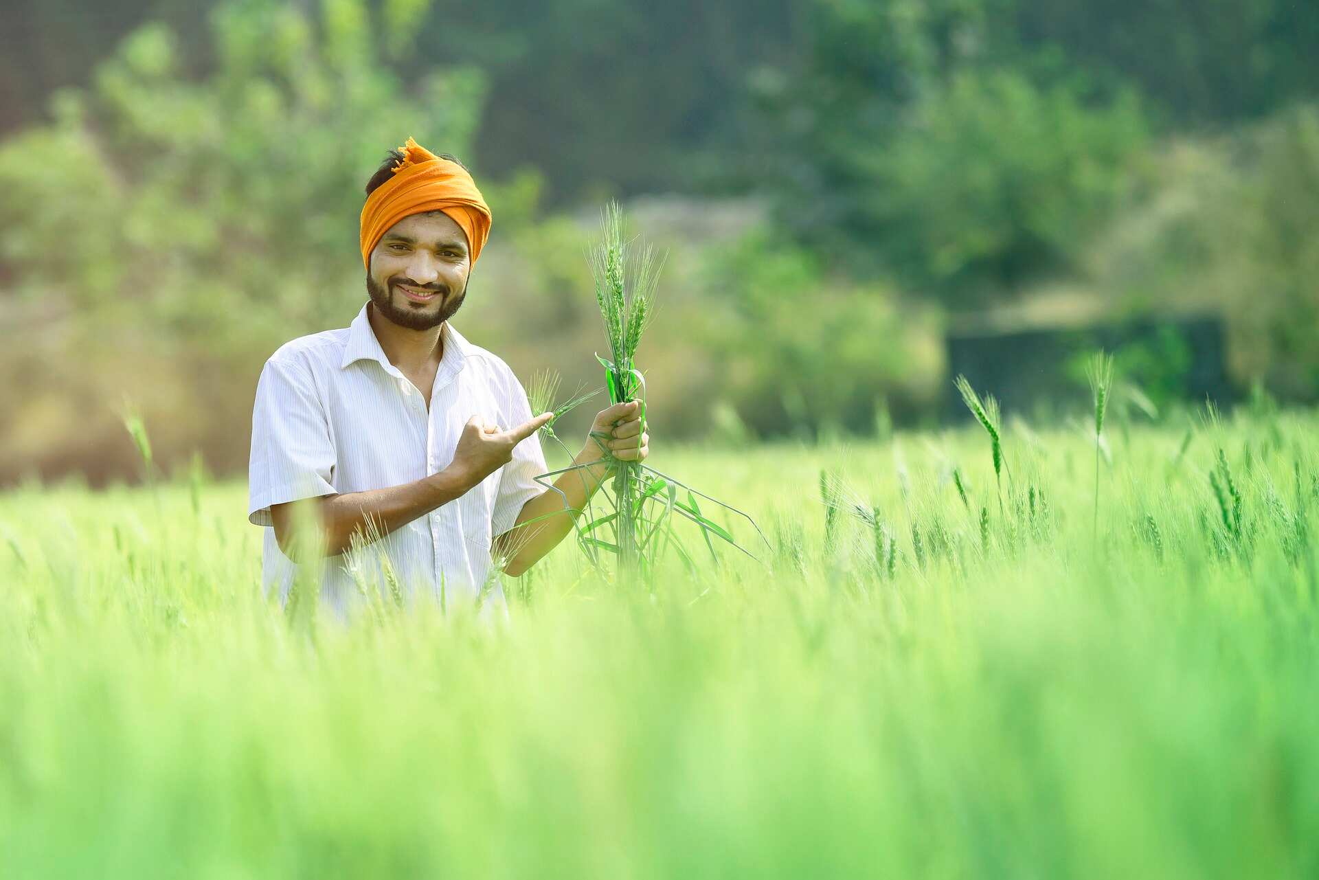 How To Apply For Kisan Credit Card Check Eligibility Interest Rate