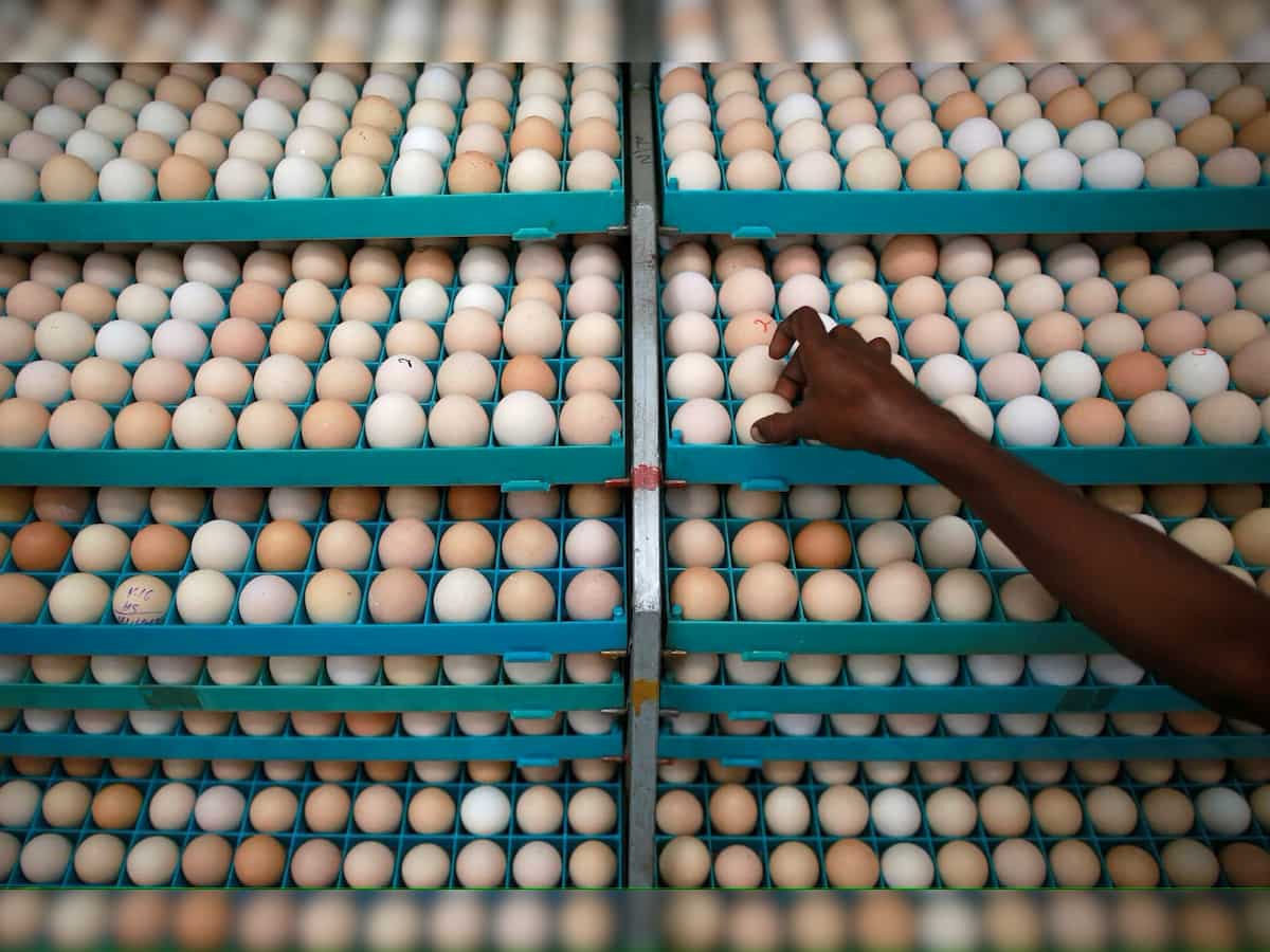 Egg prices touch record high: Here's what causing the surge | Zee Business