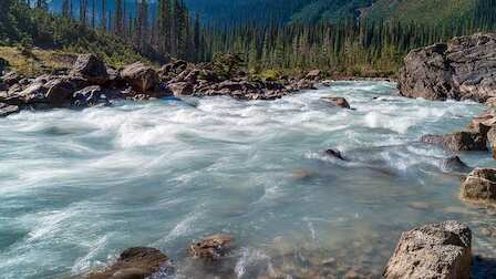 why is river important