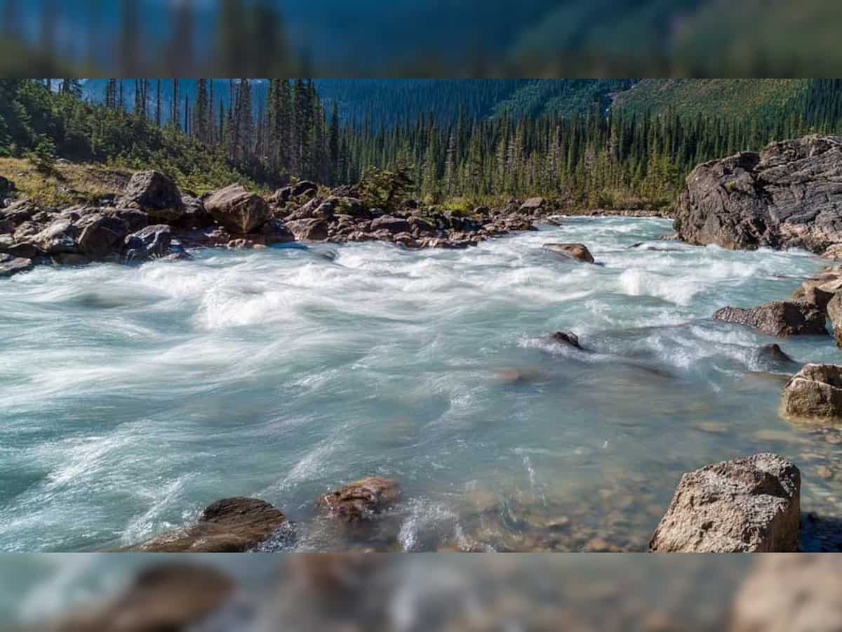 International Day of Action for Rivers 2023: Know history, theme and ...