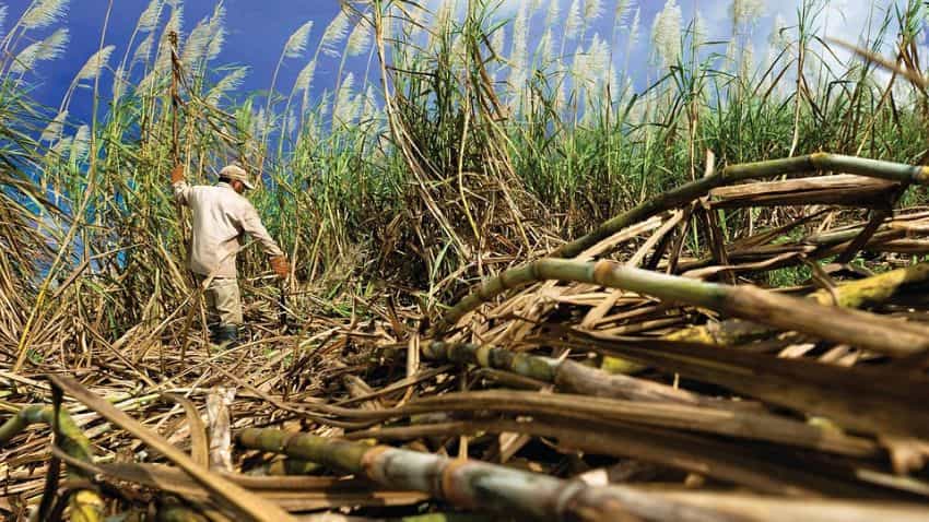 A sugar company declares 200% dividend; here’s how it has been treating ...