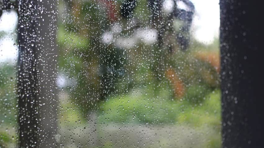 World Water Day: Can rainwater harvesting help address water needs ...