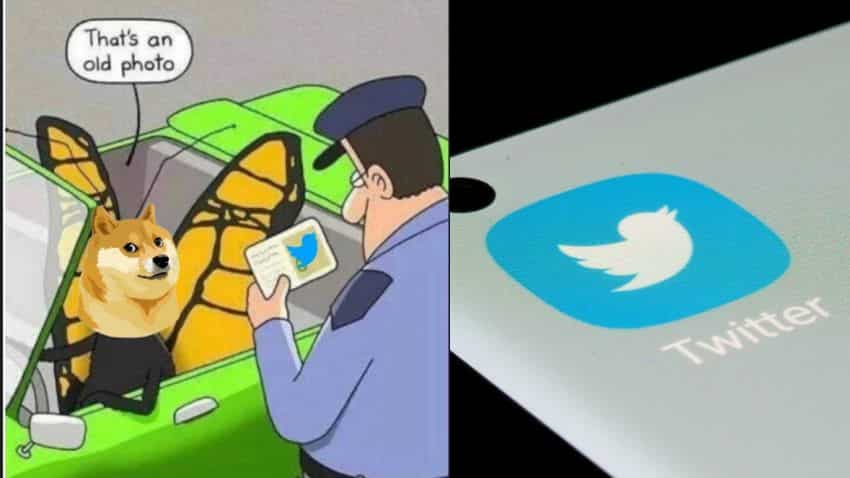 Twitter legacy blue tick intact for most users, Doge unseats bird logo ...