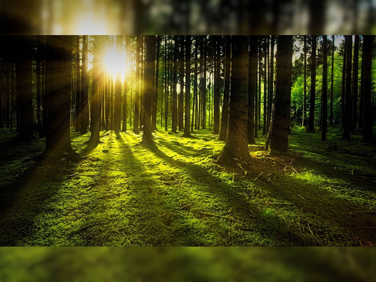 Zero Shadow Day 2023, Bengaluru: What does it mean? History, meaning ...