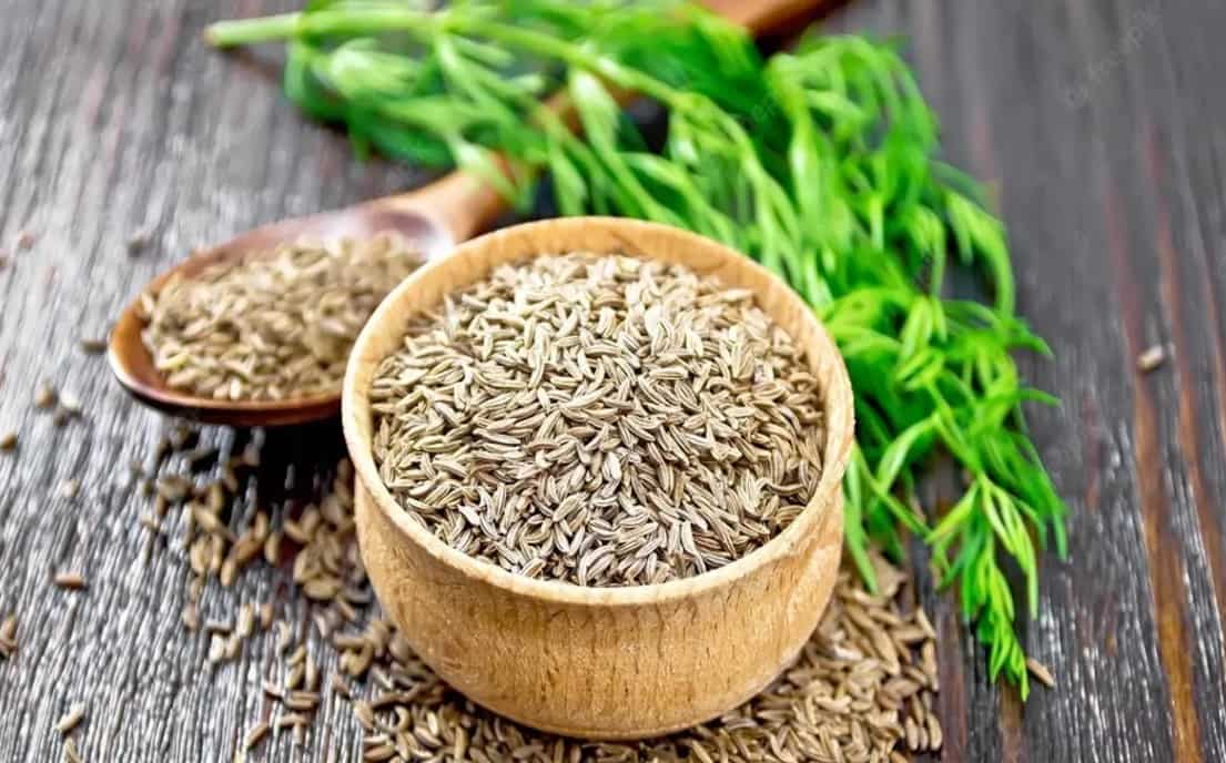 Commodity Superfast: Jeera Prices Go Past Rs 43,000 Per Quintal On ...