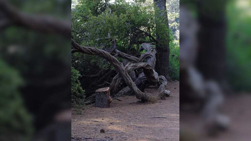 Delhi Haunted Heritage Walk: Govt starts Delhi's first 'Haunted ...