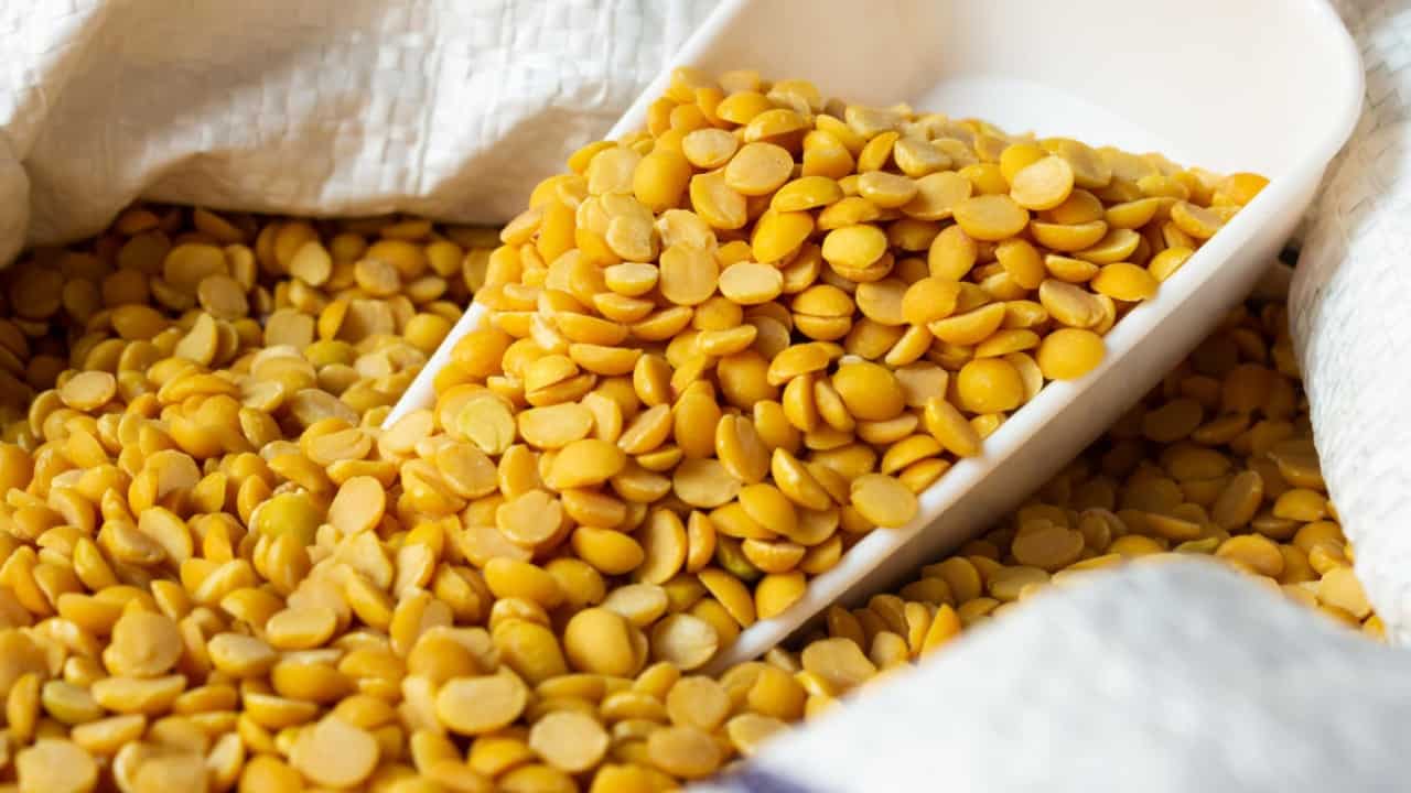 Commodities Live: The Price Of Pulses Is Expected To Decrease Further ...