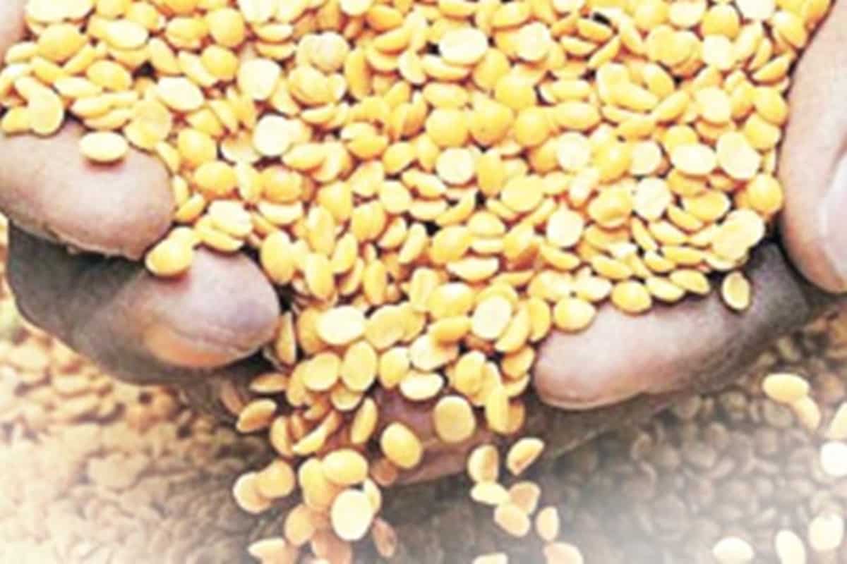 Commodity Live: Why the government's focus on pulses? | Zee Business
