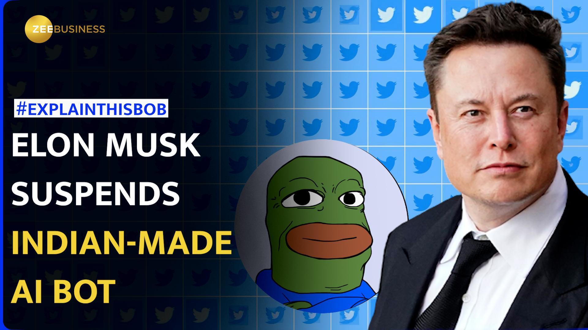 Twitter suspends Indian AI bot ‘Explain This Bob’ after Musk's scam ...