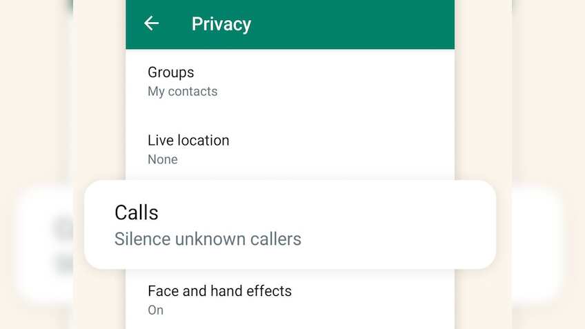 WhatsApp launches new privacy feature Silence Unknown Callers: Check ...