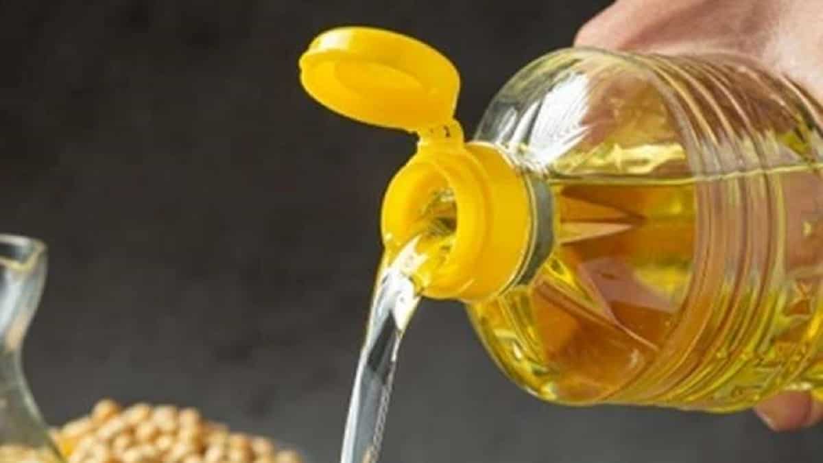 Commodity Live: Increase in price of edible oil in the global market ...