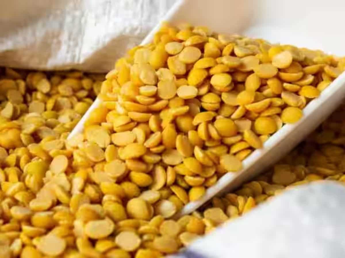 Goa govt incurred 'infructuous' spending of Rs 1.91 crore through excess procurement of tur dal ...