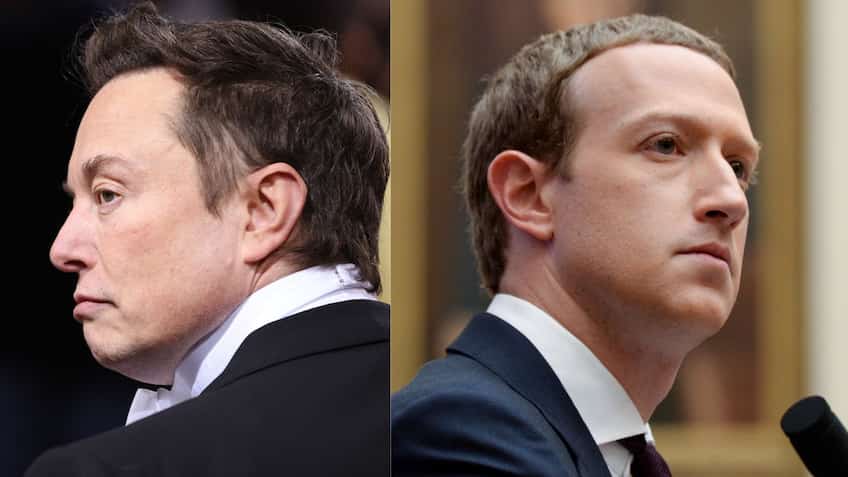 "Zuck is a chicken": Elon Musk responds to Meta CEO's "time to move on ...