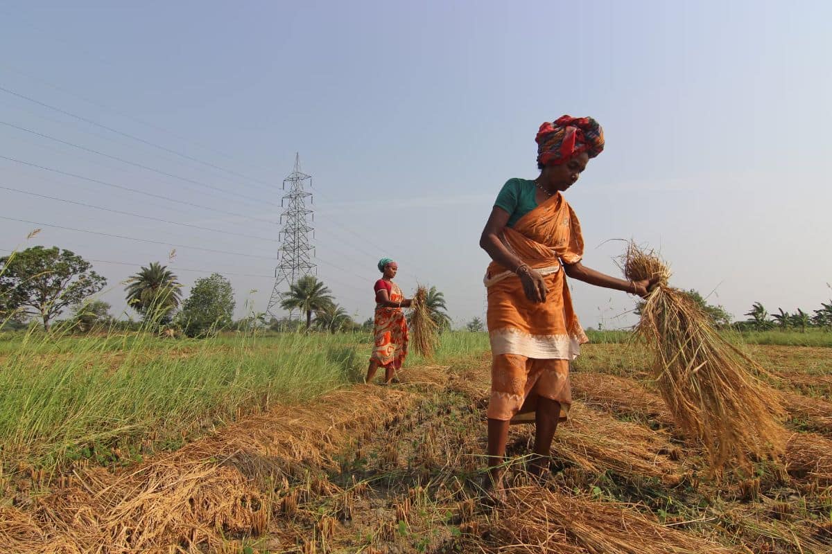 Namo Shetkari Maha Samman Nidhi Yojana: How to apply online ...