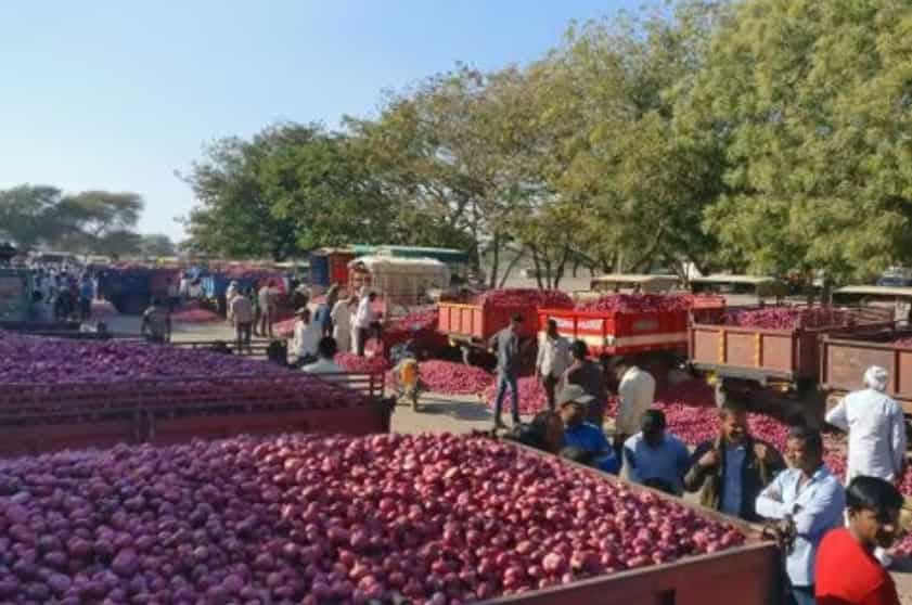 Additional 2 lakh tonnes onion procurement from farmers starts in Maharashtra