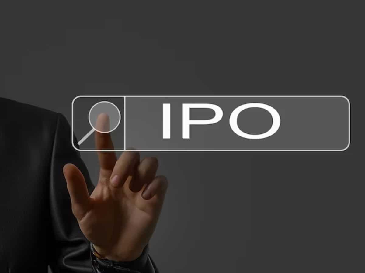 Zaggle's Rs 564 crore-IPO opens on Sep 14; price band fixed at Rs 156-164 per share | Zee Business