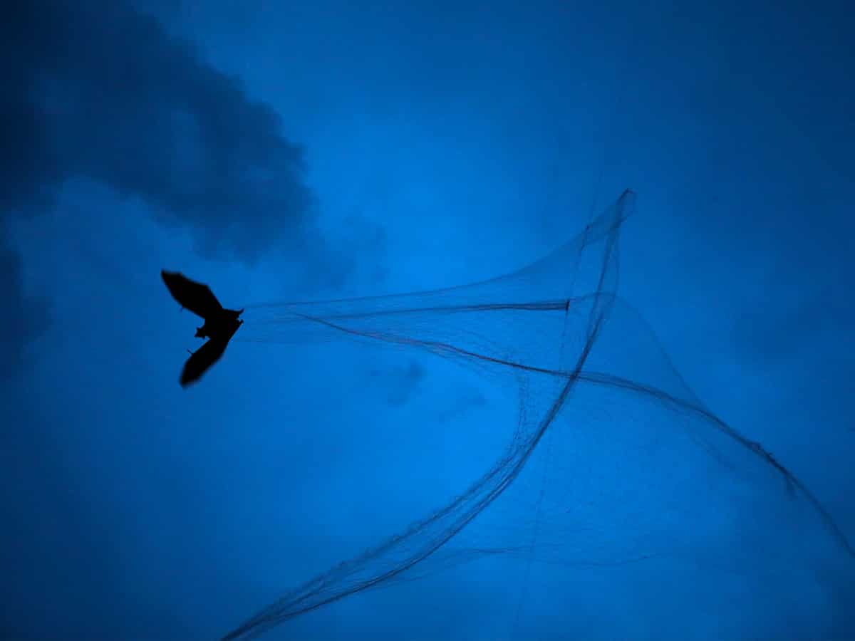 Two deaths in Kozhikode due to Nipah virus, confirms Kerala Health Minister