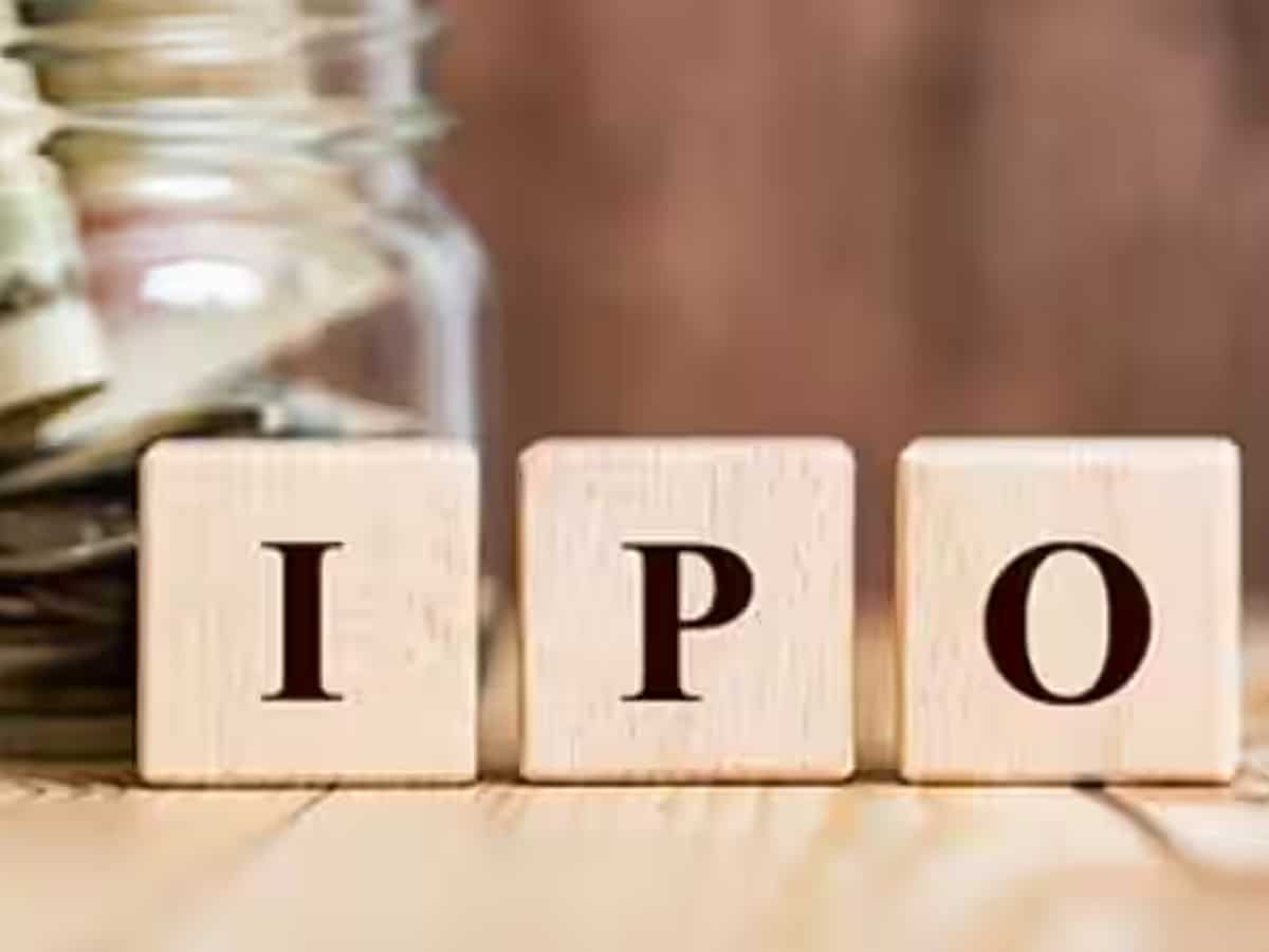 Blue Jet Healthcare IPO allotment - Step-by-step guide to check status