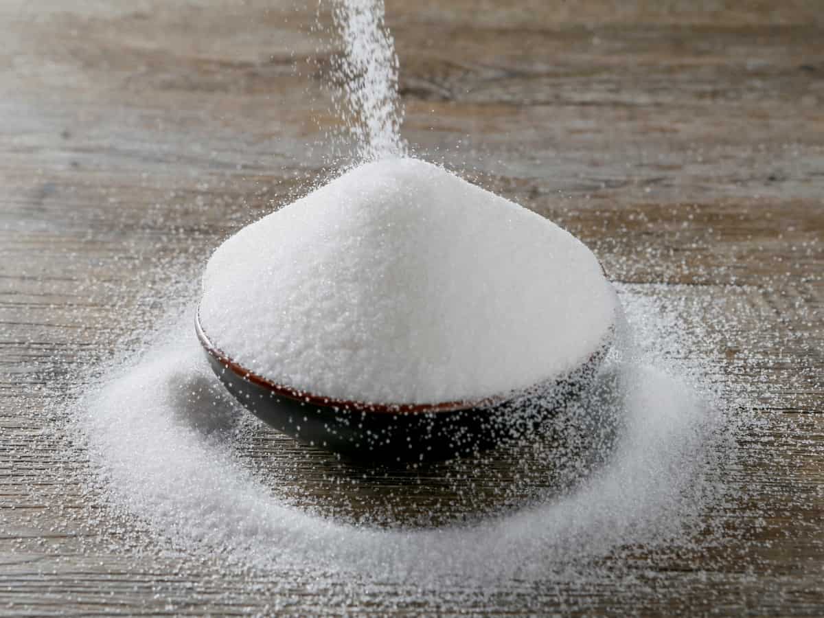India leads Global Leadership Role in Sugar Industry as Chair of ...