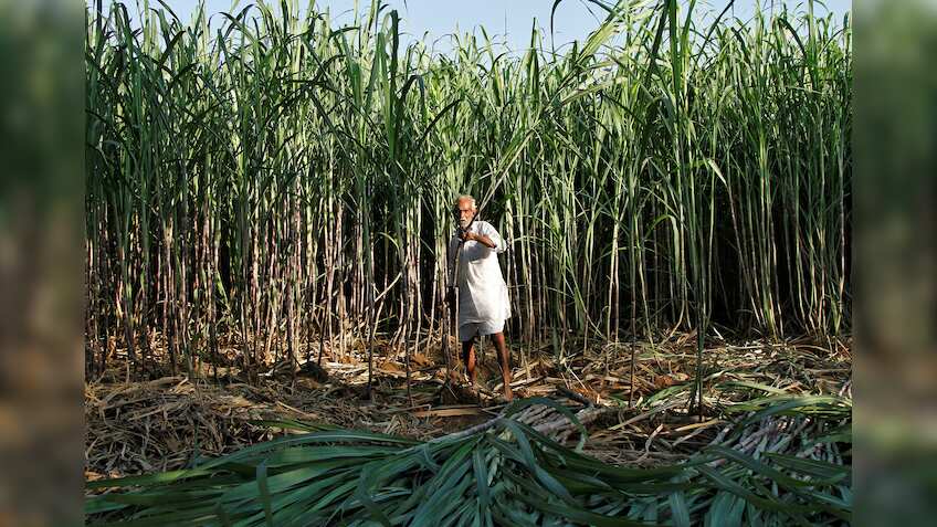 Government issues revised order to allow use of sugarcane juice for ...