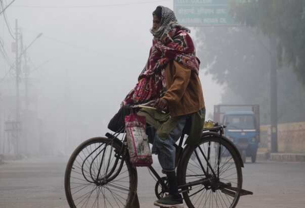 Minimum temperature settles at 7.6 Degree Celsius in Delhi, normal for season | Zee Business