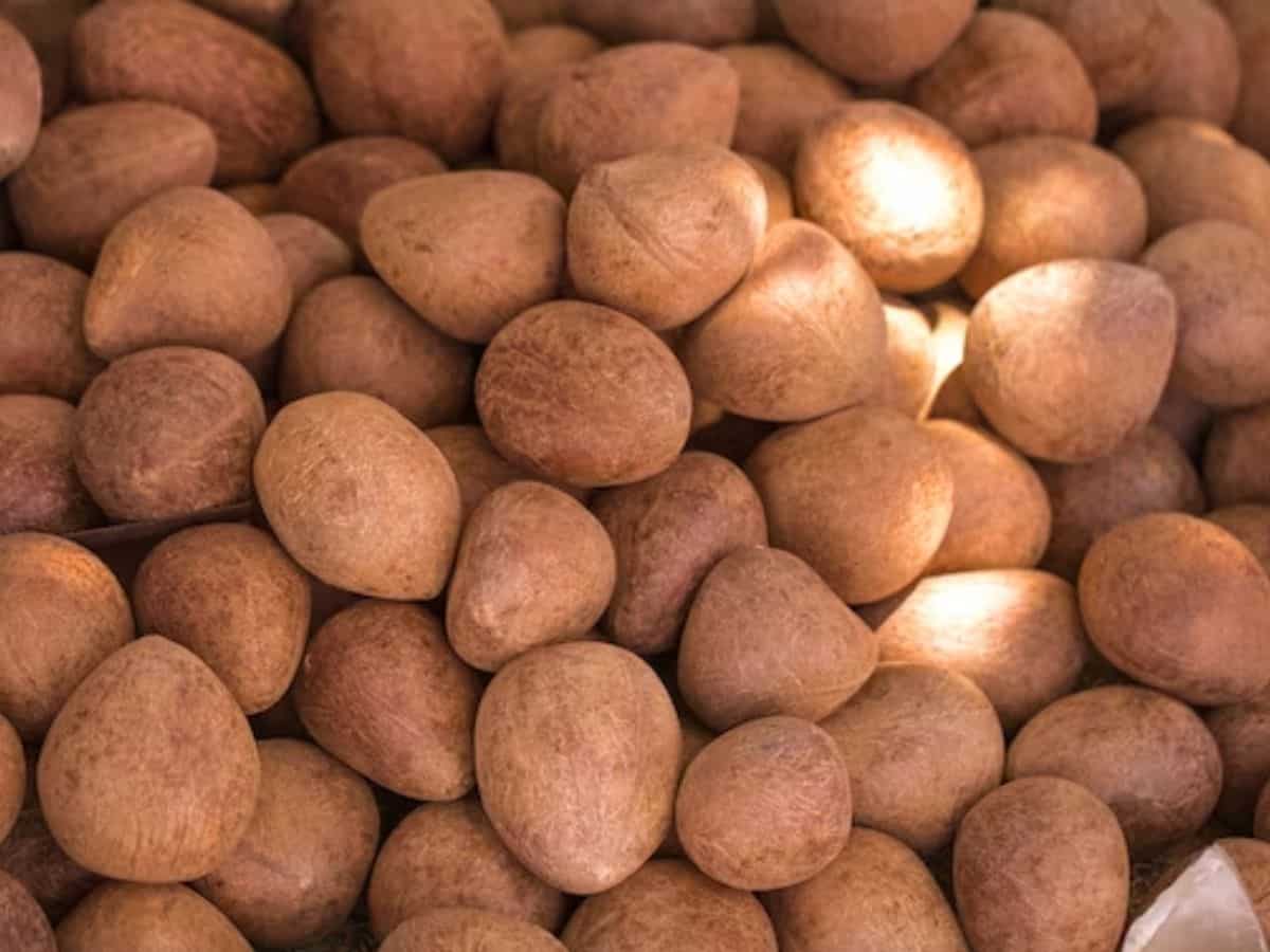 Govt hikes copra MSP by Rs 250-300 per quintal for 2024 season | Zee ...