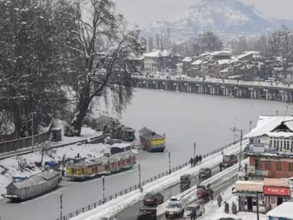 Dense fog, intense cold wave continues in J&K's Srinagar | Zee Business