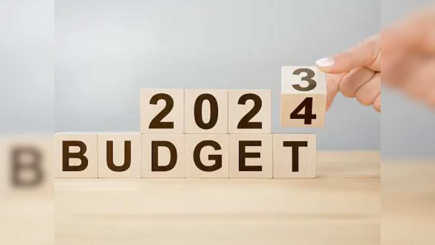 Interim Budget 2024: Date, time and what to expect from FinMin