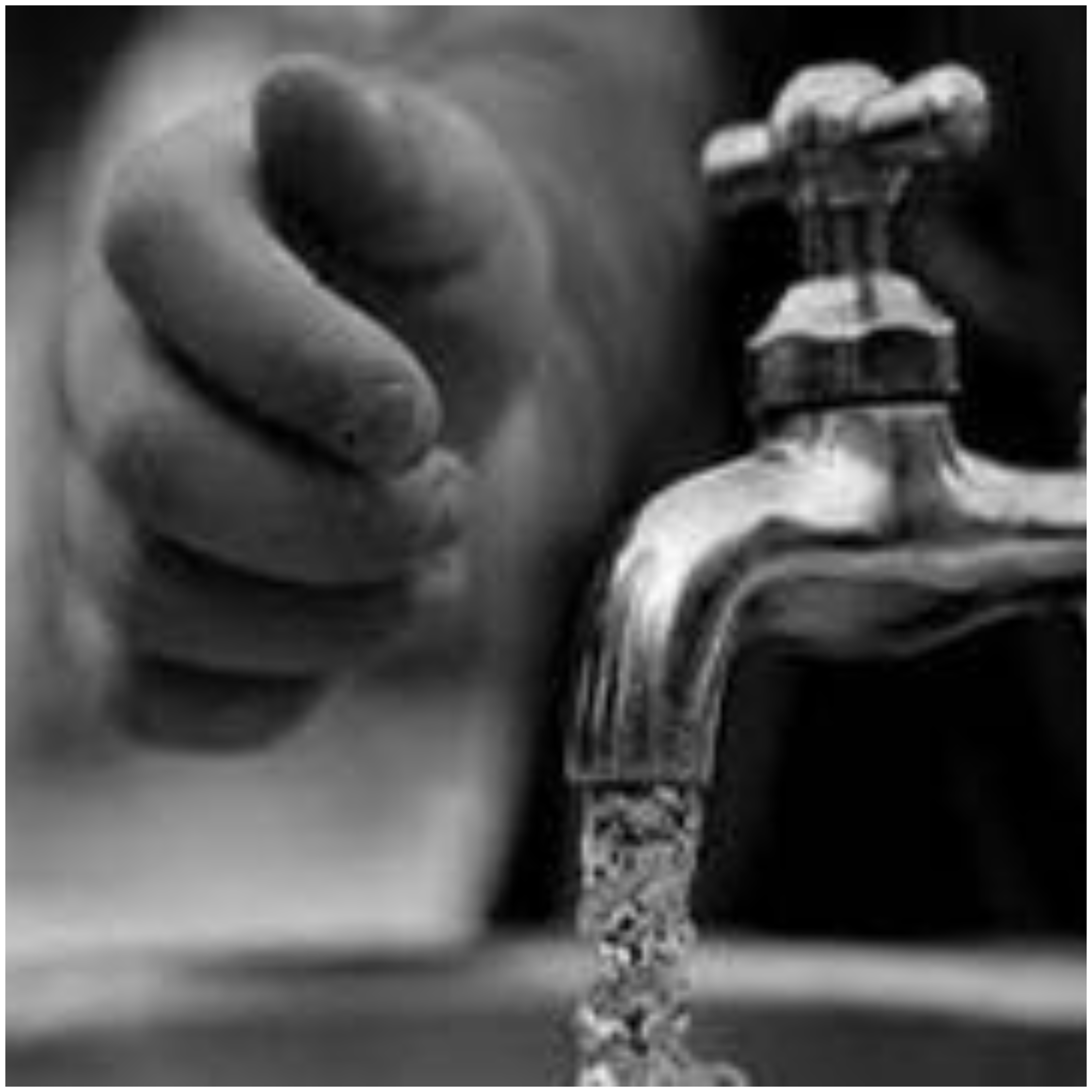 Amid Water Crisis In Bengaluru Bwssb Bans Usage Of Potable Water For