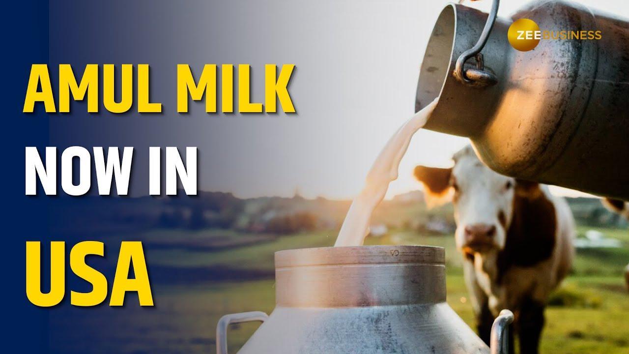 Amul Partners with Michigan Milk Producers Association to Launch Fresh ...