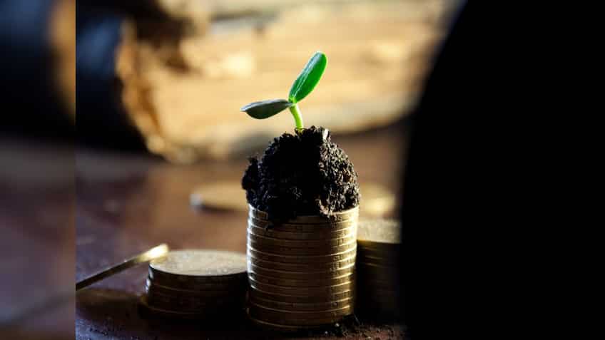 Dividend, bonus stocks: Grauer & Weil, DCM Shriram Industries, Vesuvius ...
