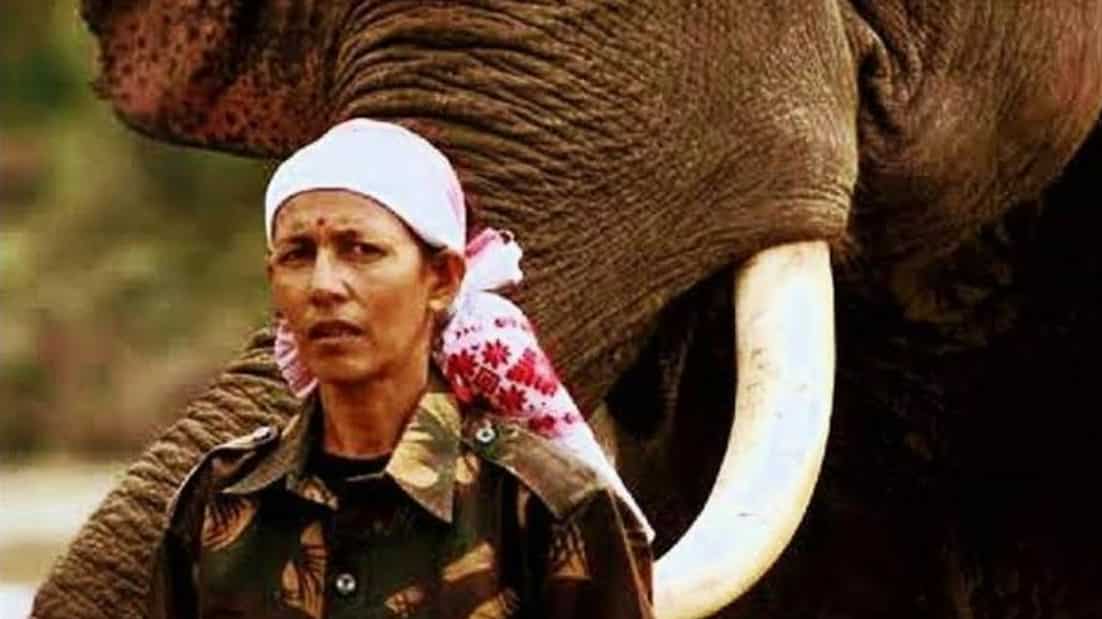 India's first woman 'mahout' breaks the glass ceiling to win Padma Shri ...