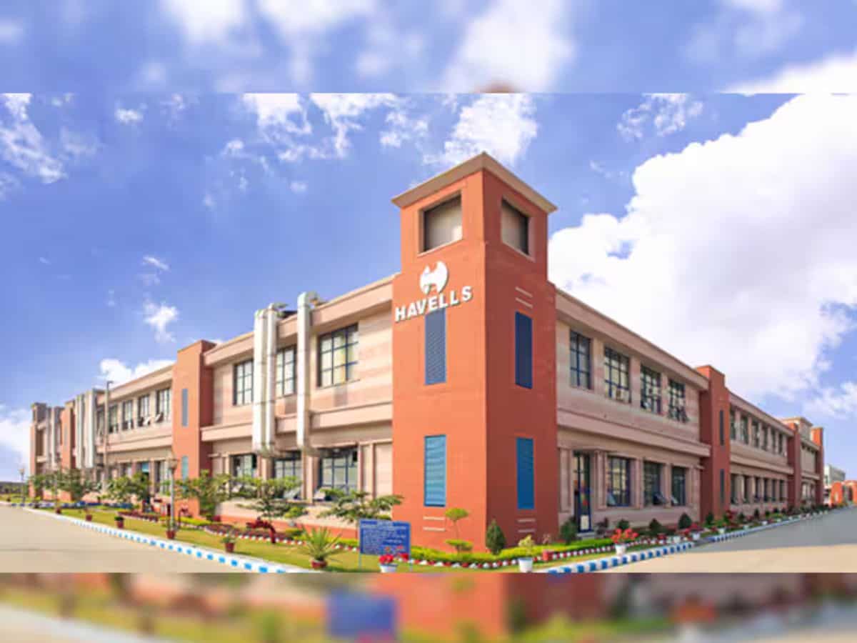 Havells India stock gains post-Q4 result, dividend announcement ...