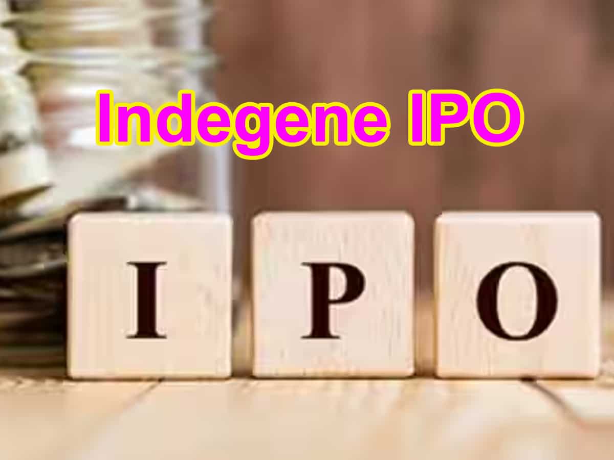 Indegene IPO allotment today: Check listing date and other details | Zee Business