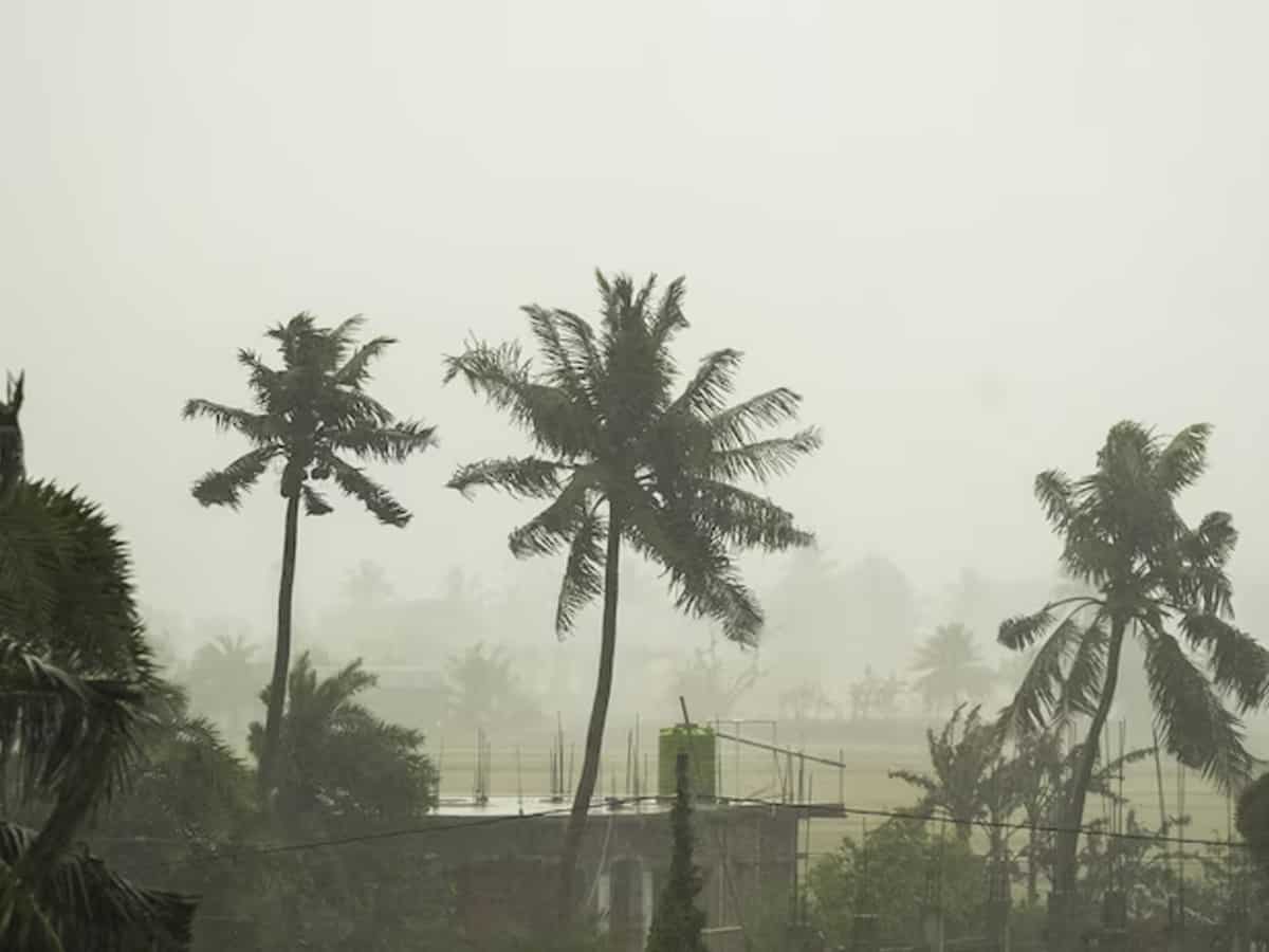 Cyclone Remal Death Toll in Assam: Heavy storms lash parts of state, CM ...