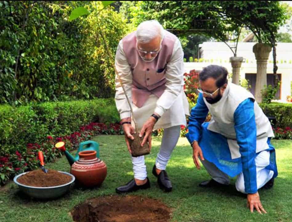PM launches tree plantation campaign on World Environment Day | Zee ...