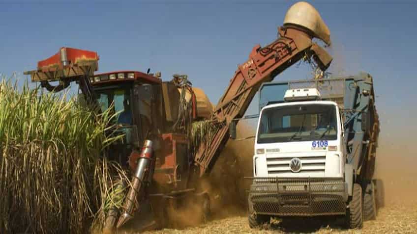 EID Perry, Shree Renuka Sugars, Balrampur Chini: Sugar stocks trade ...