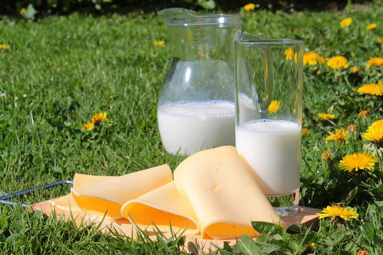 Dairy startup Sid’s Farm secures $10 million funding
