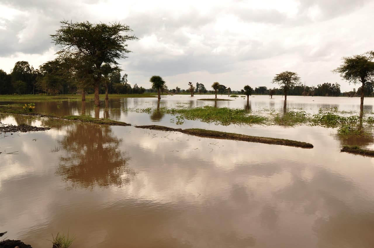 Assam floods affect 24 lakh people across 29 districts