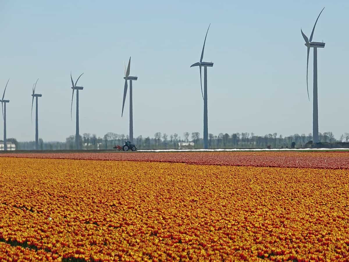 Inox Wind bags 51 MW order from Everrenew | Zee Business