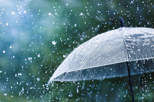 Heavy Rains Lash Parts Of Rajasthan Jaipur Records Highest Rainfall