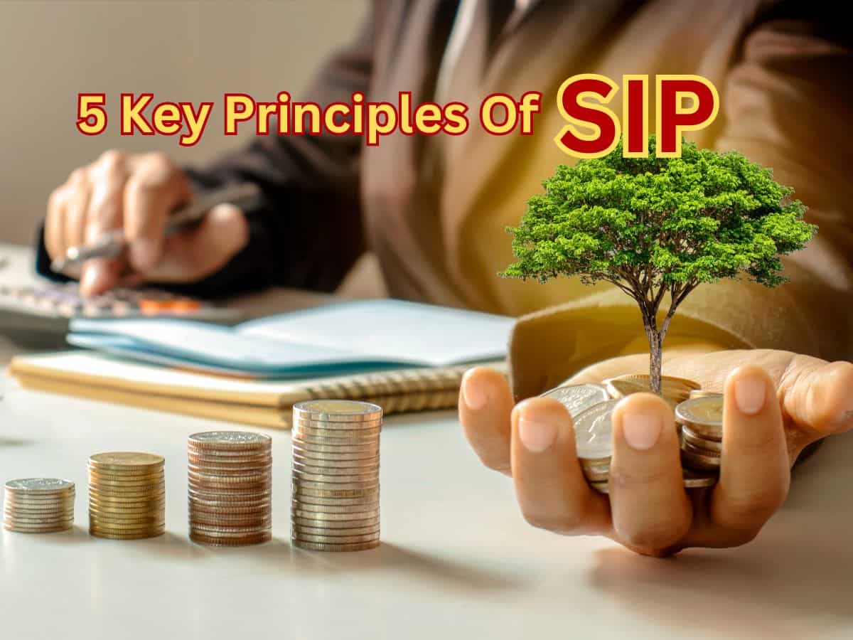 SIP Returns: Want to maximise gains from your Rs 5,000 or Rs 10,000 monthly SIP; these 5 ...