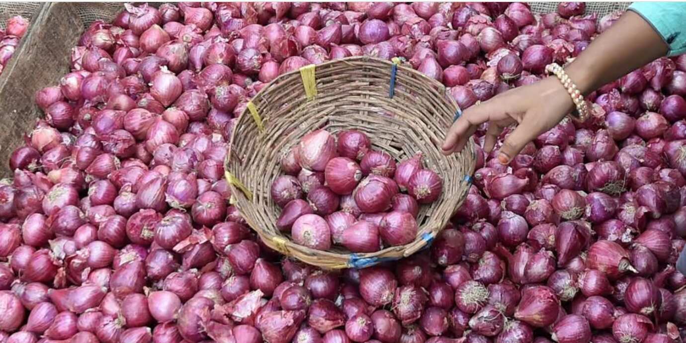 Onion prices to fall as fifth shipment of 720 tonnes to reach Delhi on November 21 | Zee Business